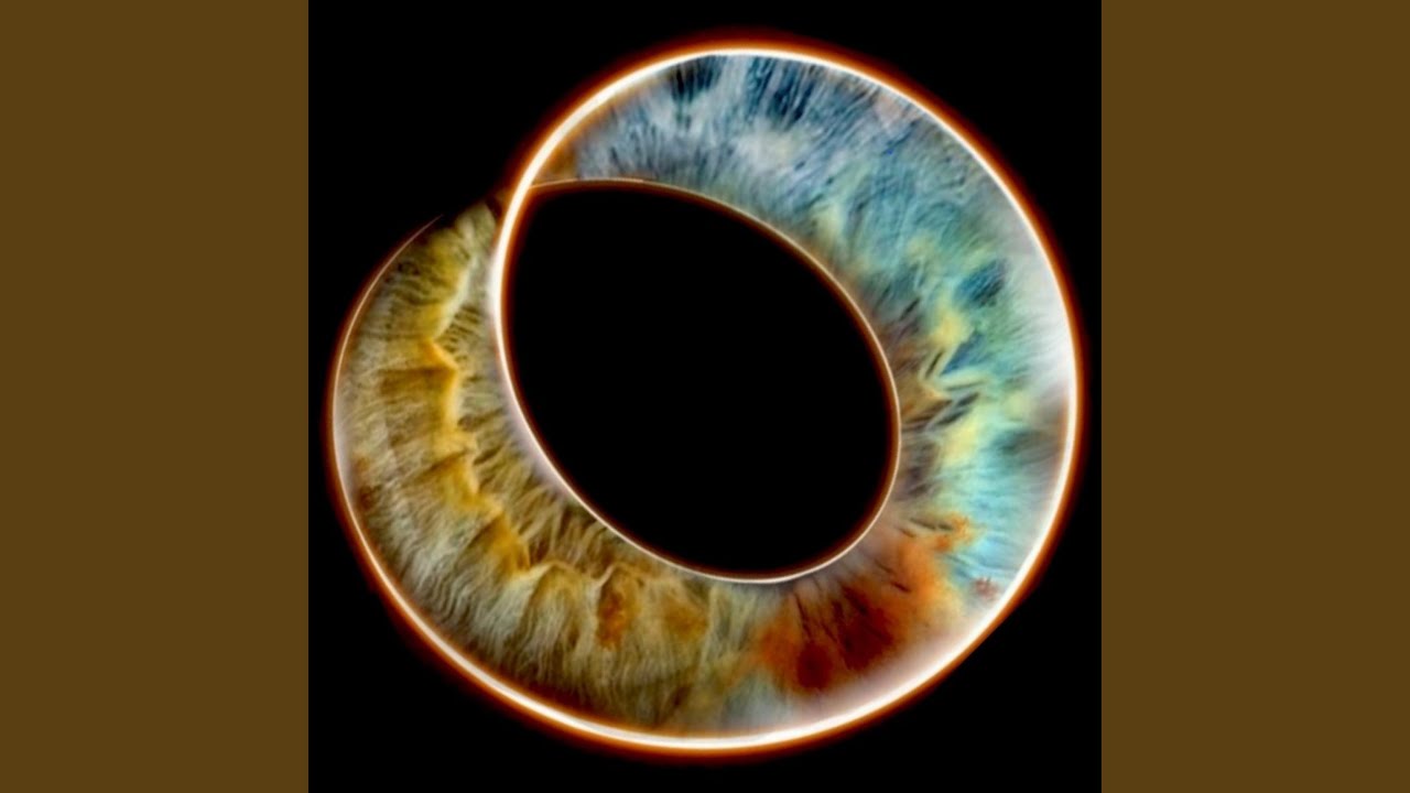 No Panacea (Infinite Loop) - YouTube