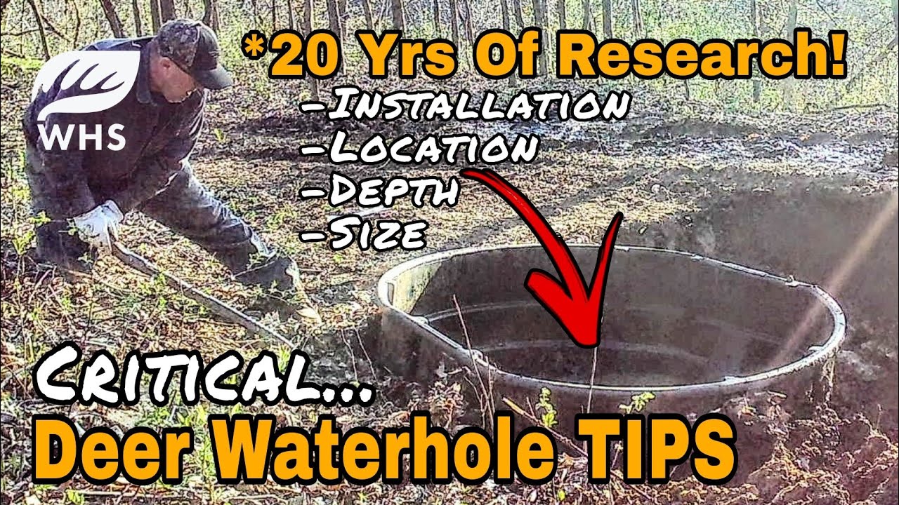 Critical Tips For Installing Deer Waterholes - YouTube