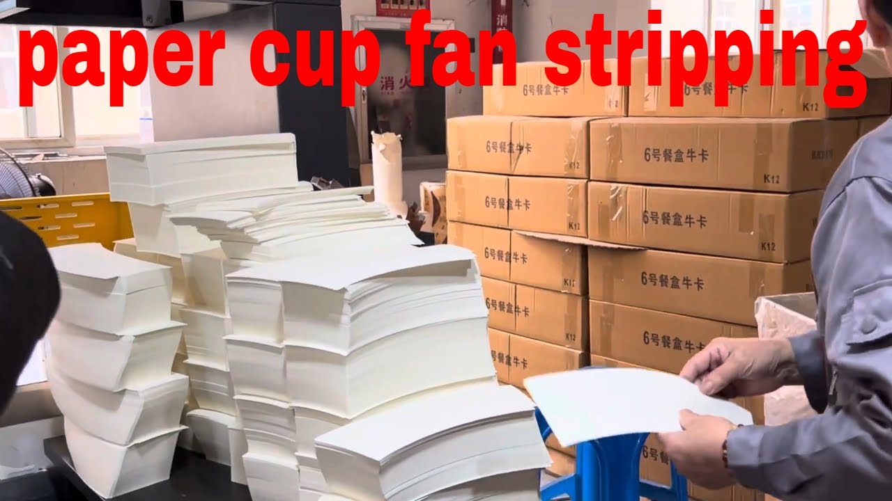 Automatic Die Cut Waste Stripping Machine for Paper Cup Blanking Making ...