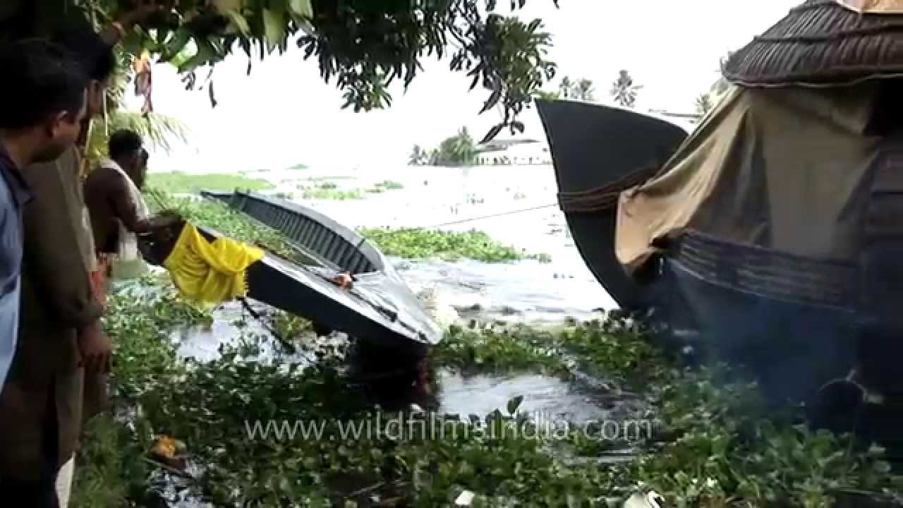 Dragging the Chundan Vallam in the backwaters of Kerala - YouTube