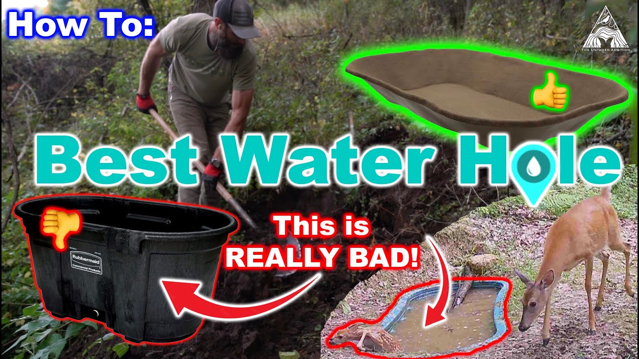 Best Way Water Hole for Deer and Wildlife - YouTube