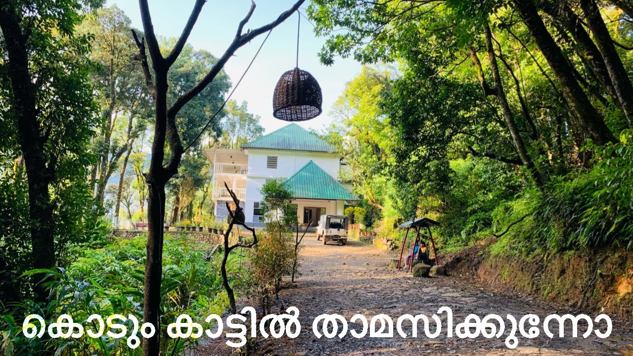 Stay inside forest | tentgram aranamala | tentgram aranamala Wayanad ...