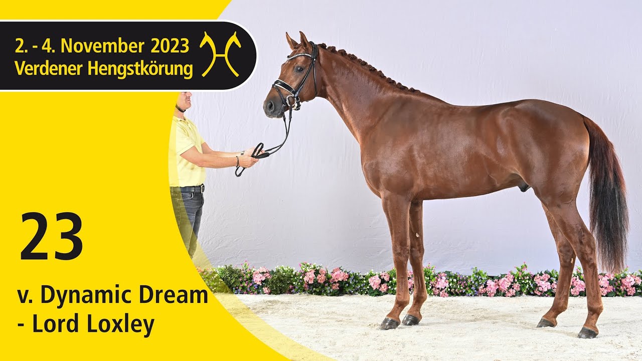 Verden Stallion Licensing 2023 - Dressage - Nov. 2-4 - No. 23 Stallion ...
