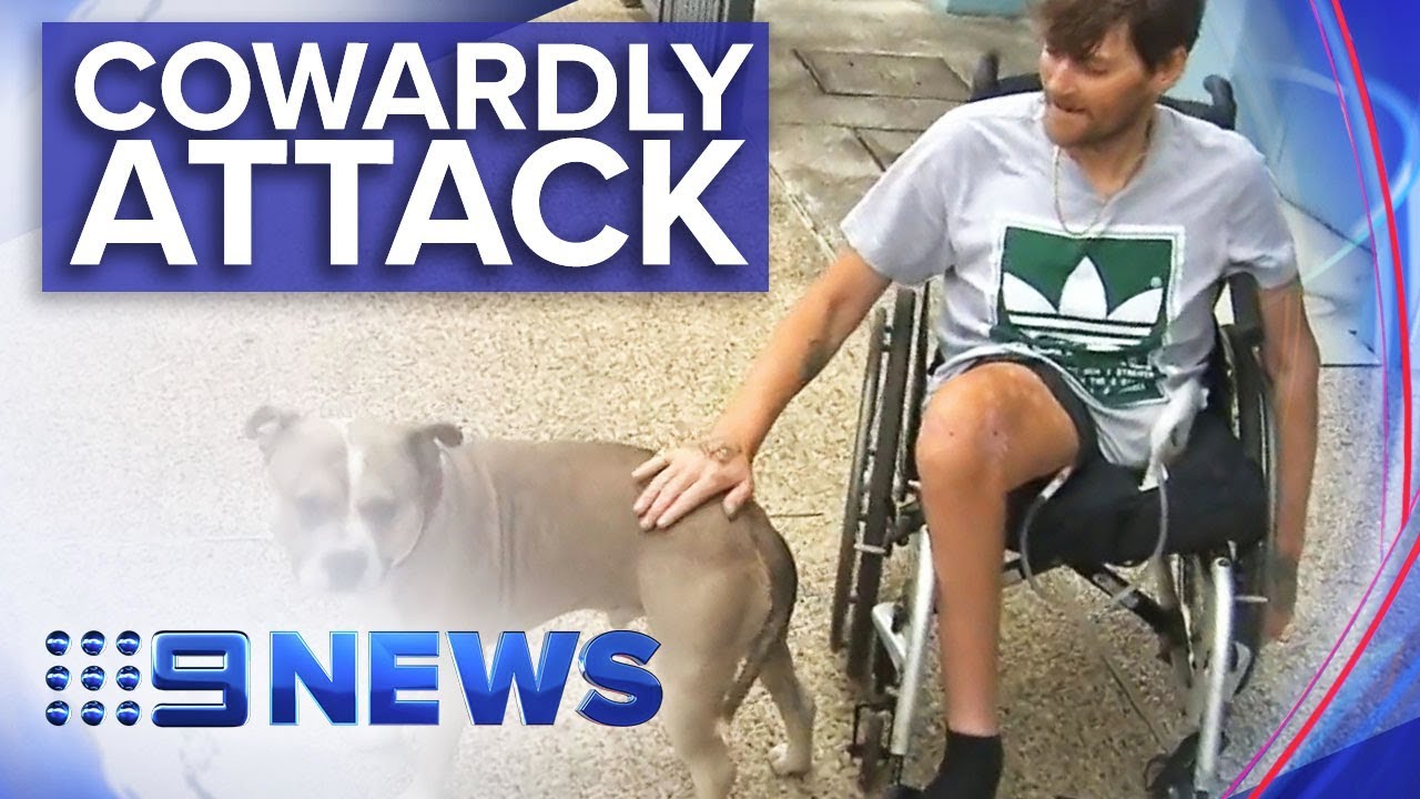 Man in wheelchair attacked by thug | Nine News Australia - YouTube