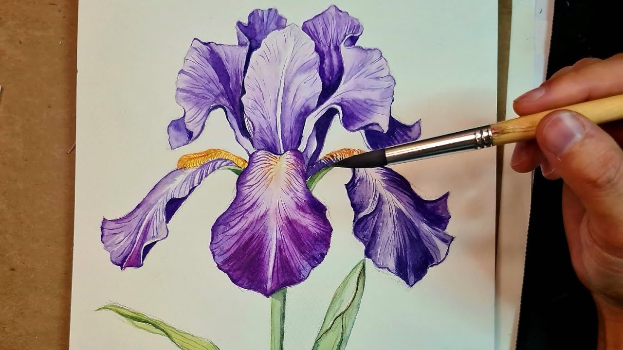 How to paint botanical flower in watercolor | time lapse | relax art ...