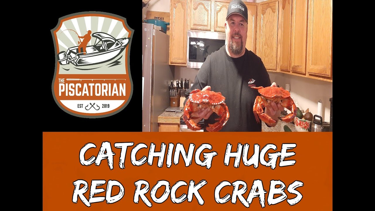 Catching huge Red Rock Crabs - YouTube