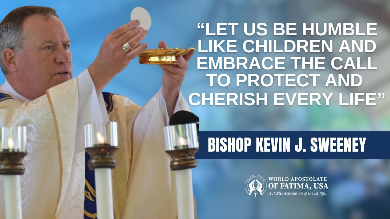 August 13, 2024 Homily | Bishop Kevin J. Sweeney - Cherishing the Eucharist and Our Mission ...