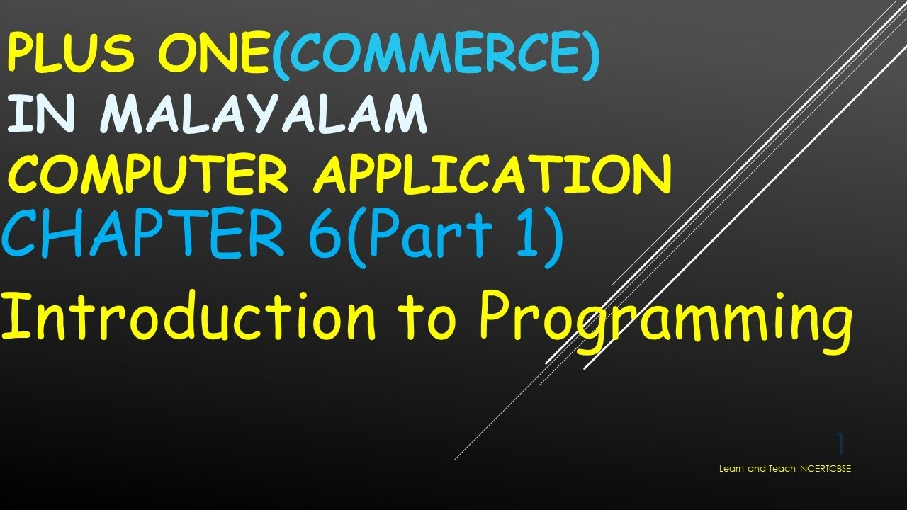 Introduction To Programming Plus One Computer Applicationcommerce 8925