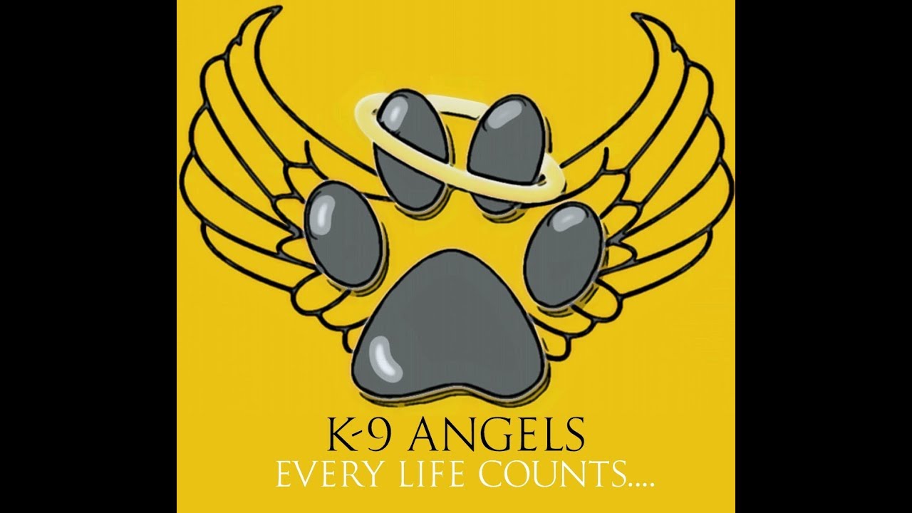 K-9 Angels 2018 Calendar - Cartoons of K-9's - YouTube
