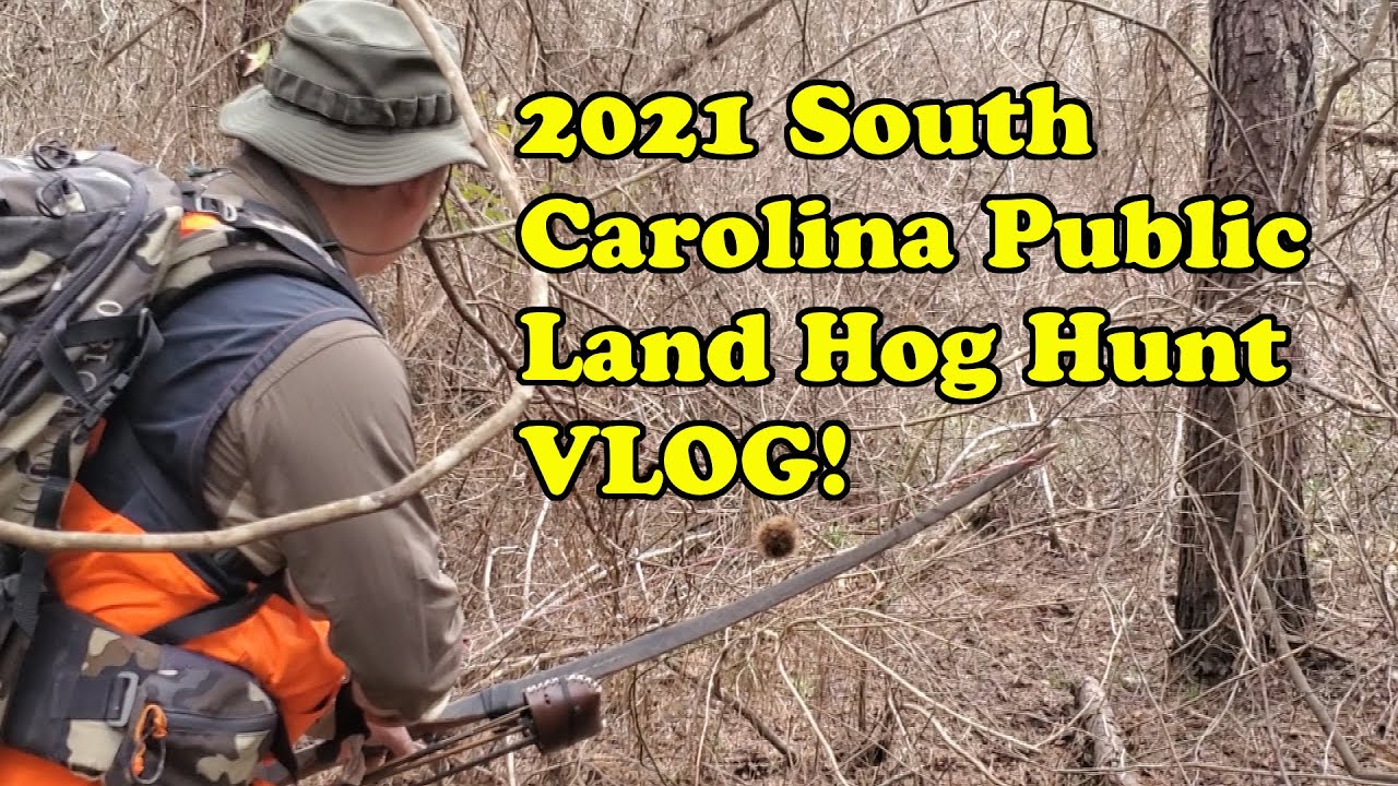 2021 South Carolina Public Land Hog Hunt Vlog - YouTube