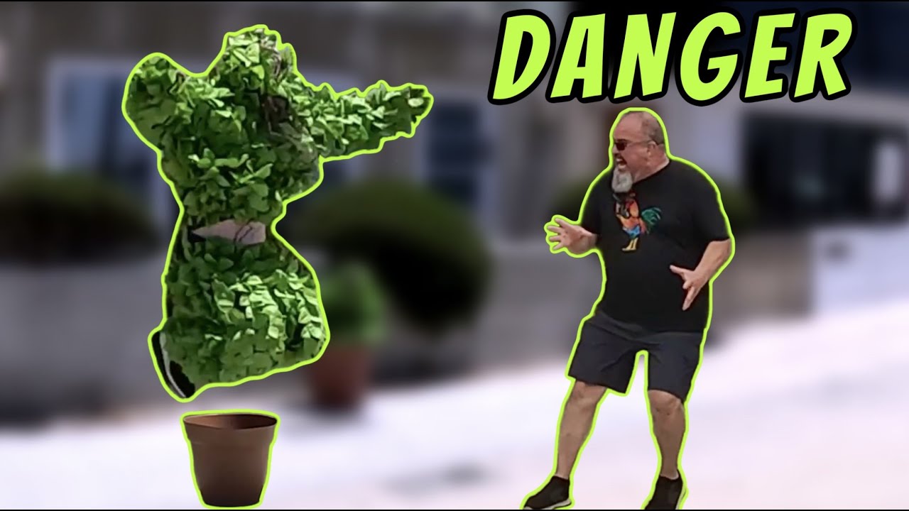 Ultimate Bushman Prank: Man in Bush Costume Terrifies Everybody! - YouTube