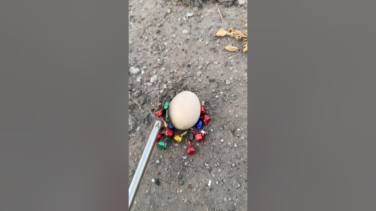 EXPERIMENT PETASAN DINO VS TELUR AYAM!!! Lihat Reaksinya #mercon #petasan #experimen #shorts ...