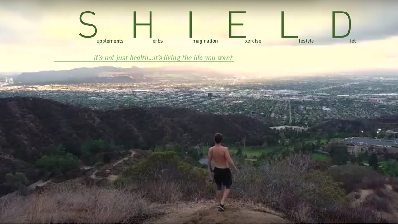 Shield Program for Natural Crohn's/ Colitis Healing - YouTube