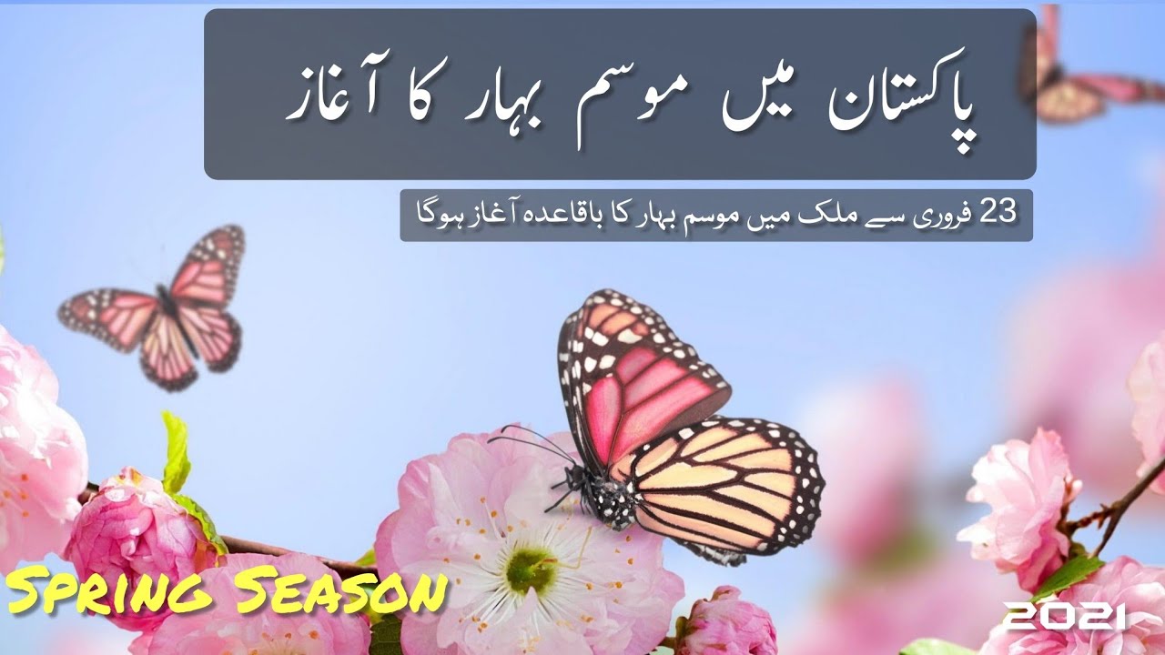 Spring Season 2021/ موسم بہار کی معلومات - YouTube