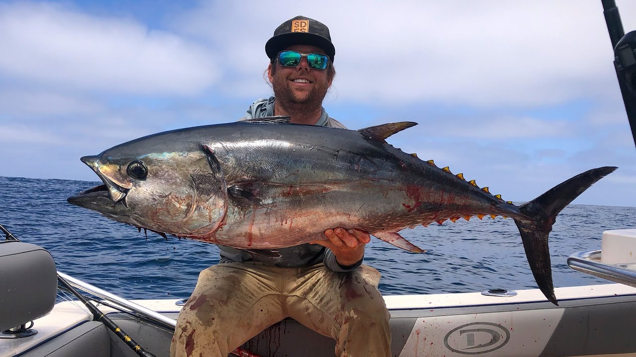 Atlantic Bluefin Tuna Size