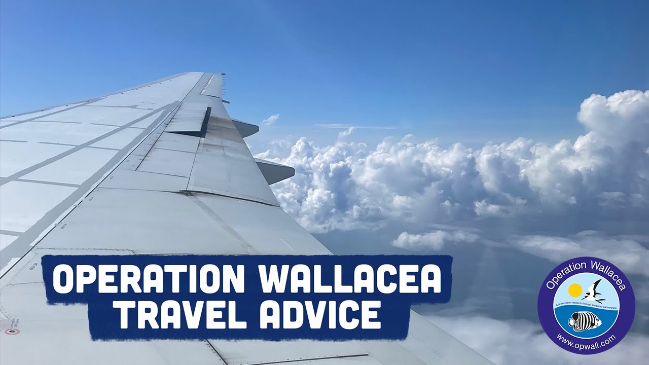Operation Wallacea - Travel Advice - YouTube
