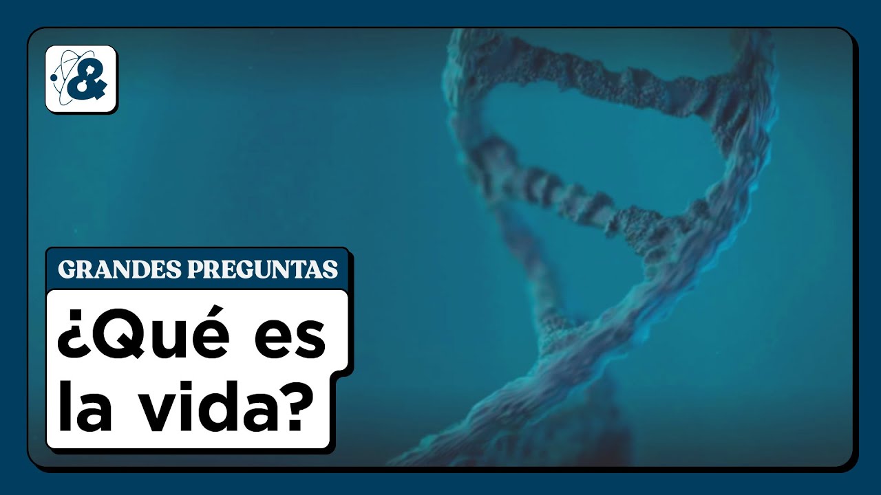 ¿Qué define a la VIDA? 🦋 - YouTube