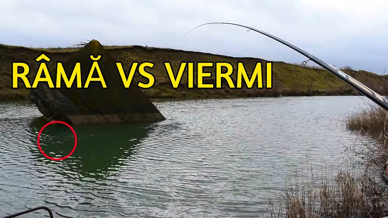 RAMA VS VIERMI IN IANUARIE 2023 (Cine a castigat?) - YouTube