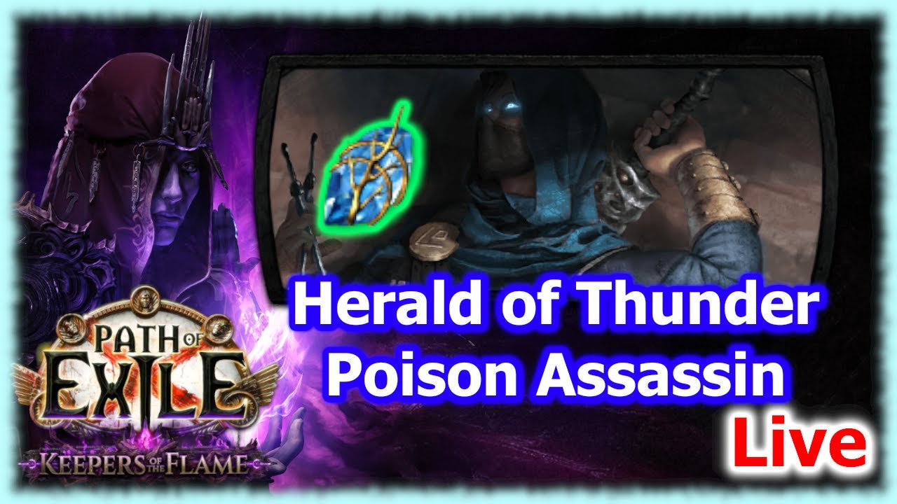 Just needs Levels I think | Poison Herald of Thunder Assassin Live ...