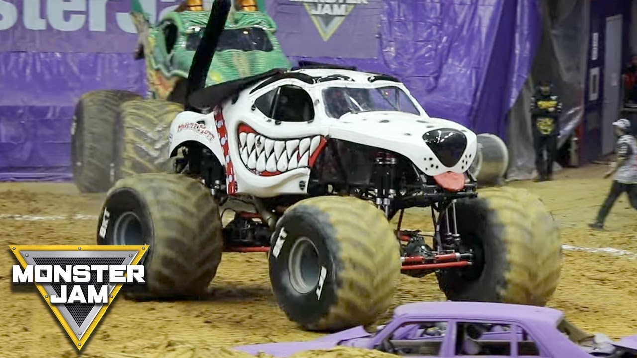 Monster Mutt Dalmatian winning Freestyle | Washington D.C. | Monster ...
