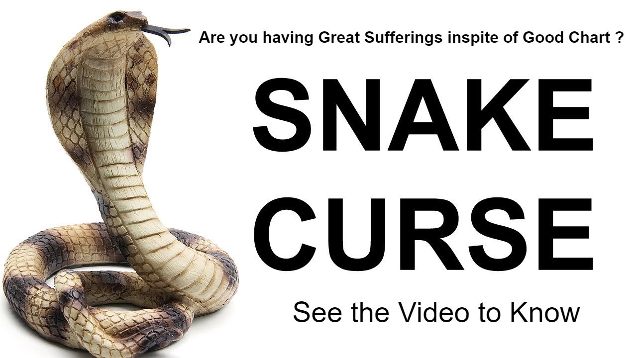 Snake Curse l Snake Curse Astrology l How to Remove Snake Curse - YouTube