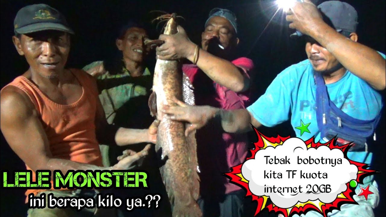 NGURAS PARIT || LELE MONSTER TERBESAR PERTAMA YANG PERNAH KITA DAPATKAN ...