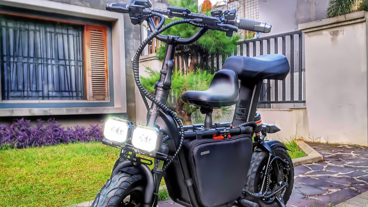 Fiido Q1S Black Full Upgrade 2000w X 2 Motors - YouTube