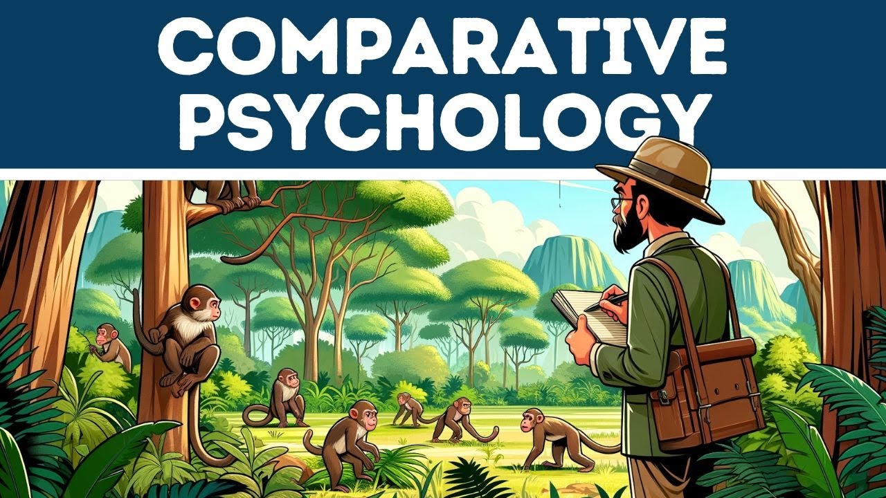 What is Comparative Psychology? (Explained in 3 Minutes) - YouTube