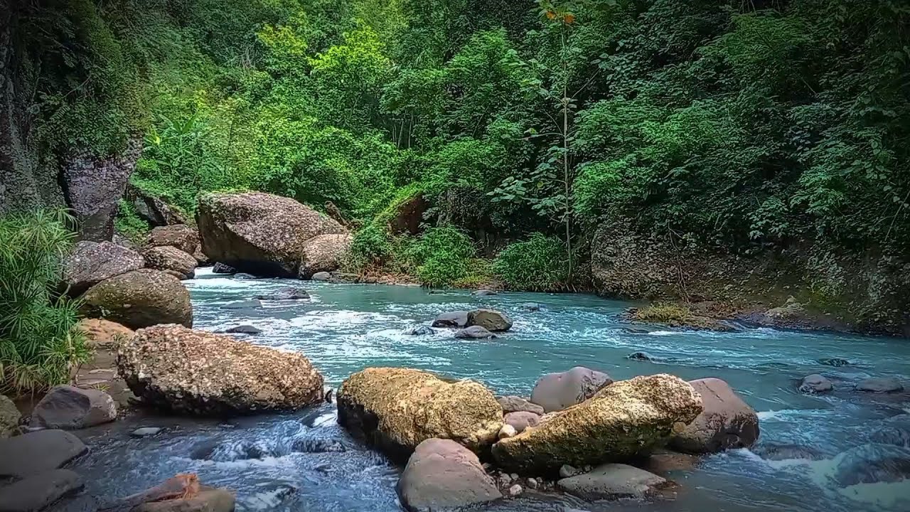 Healing River Sounds with Gentle Harp Harmony - YouTube
