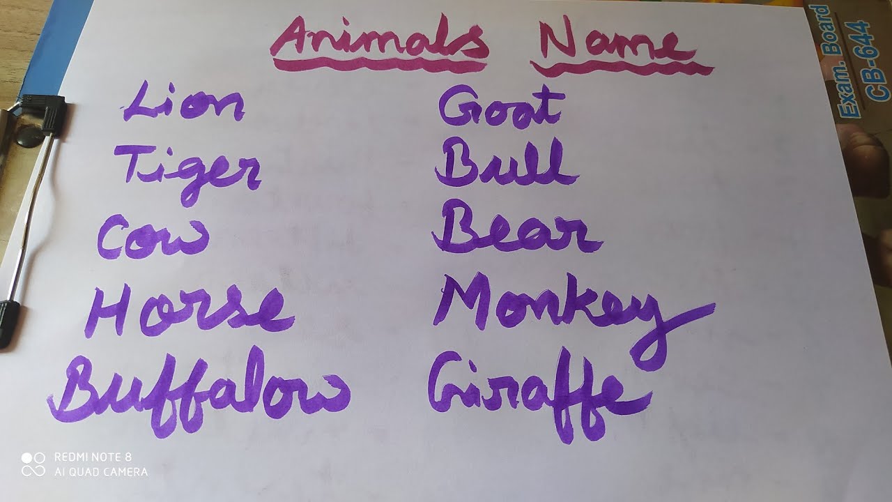 Learn and write animals name / Learn animals name - YouTube