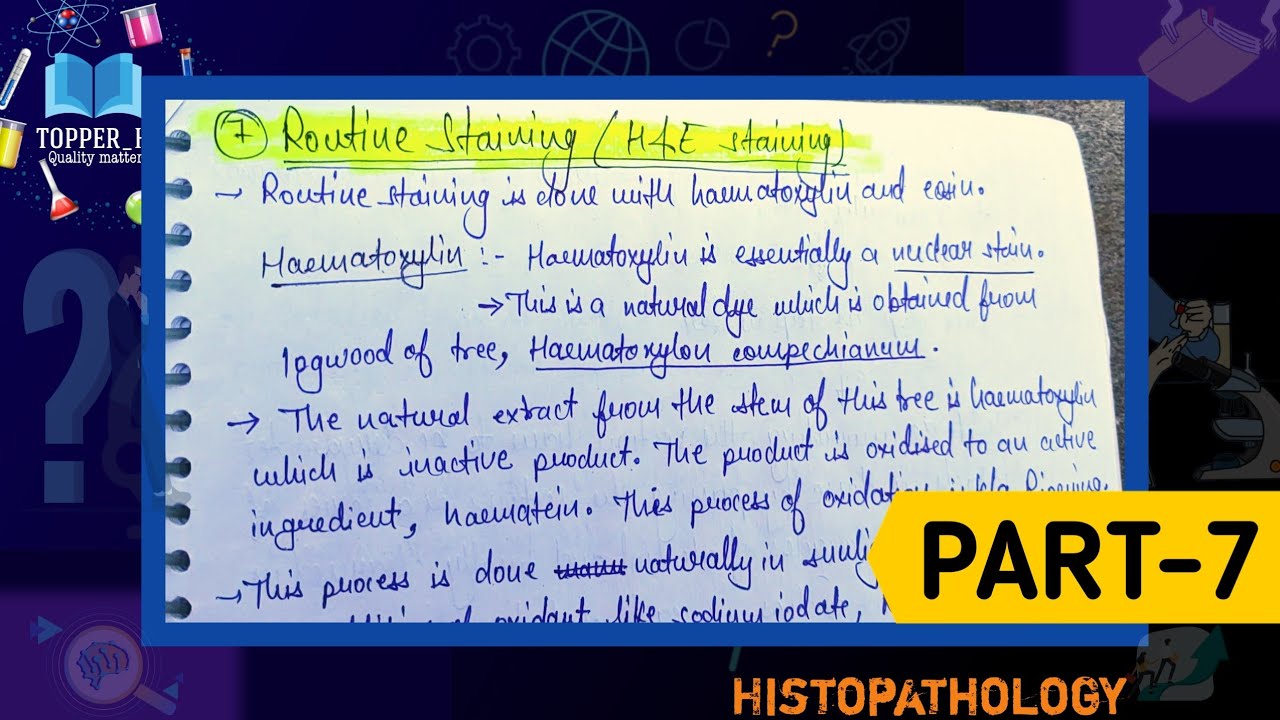Hematoxylin and eosin stain | H and E staining procedure | H and E stain |Routine staining - YouTube