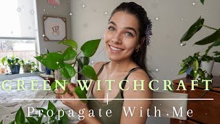 Green Witchcraft & Plant Magick Tips | Propagate With Me