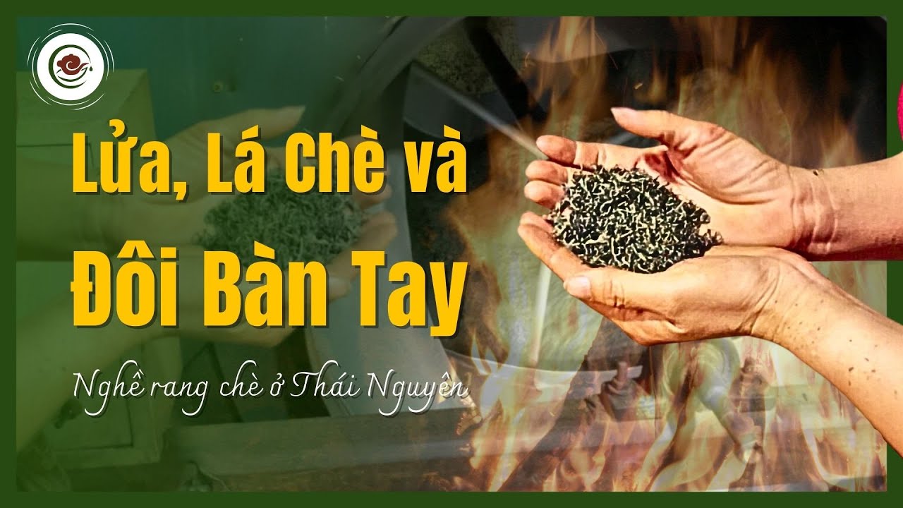 Thợ Rang Chè Thái Nguyên: Chuyện Nghề Ít Ai Hiểu - Nhật Kí Đất Trà Tập ...