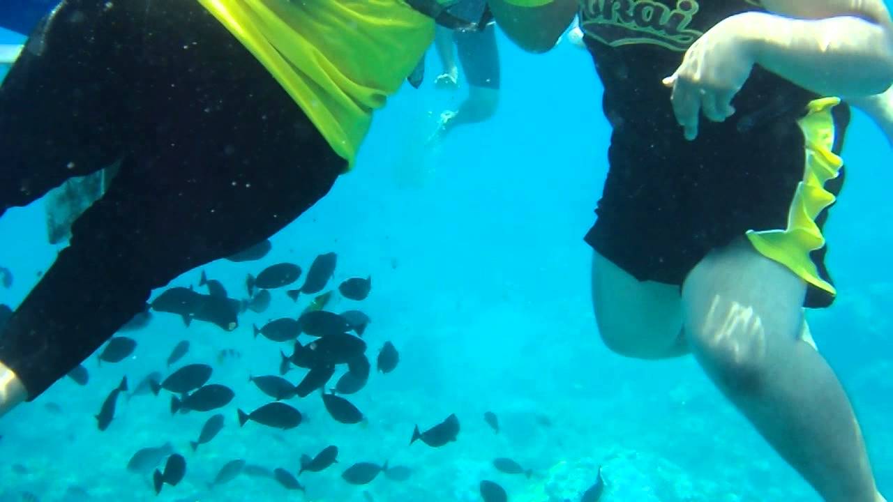 Agat Guam, Underwater swimming - YouTube