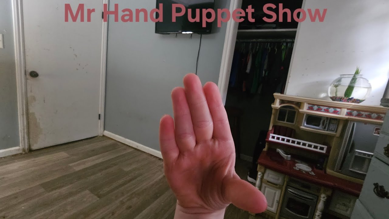 Mr. Hand Puppet Show [April Fools] - YouTube