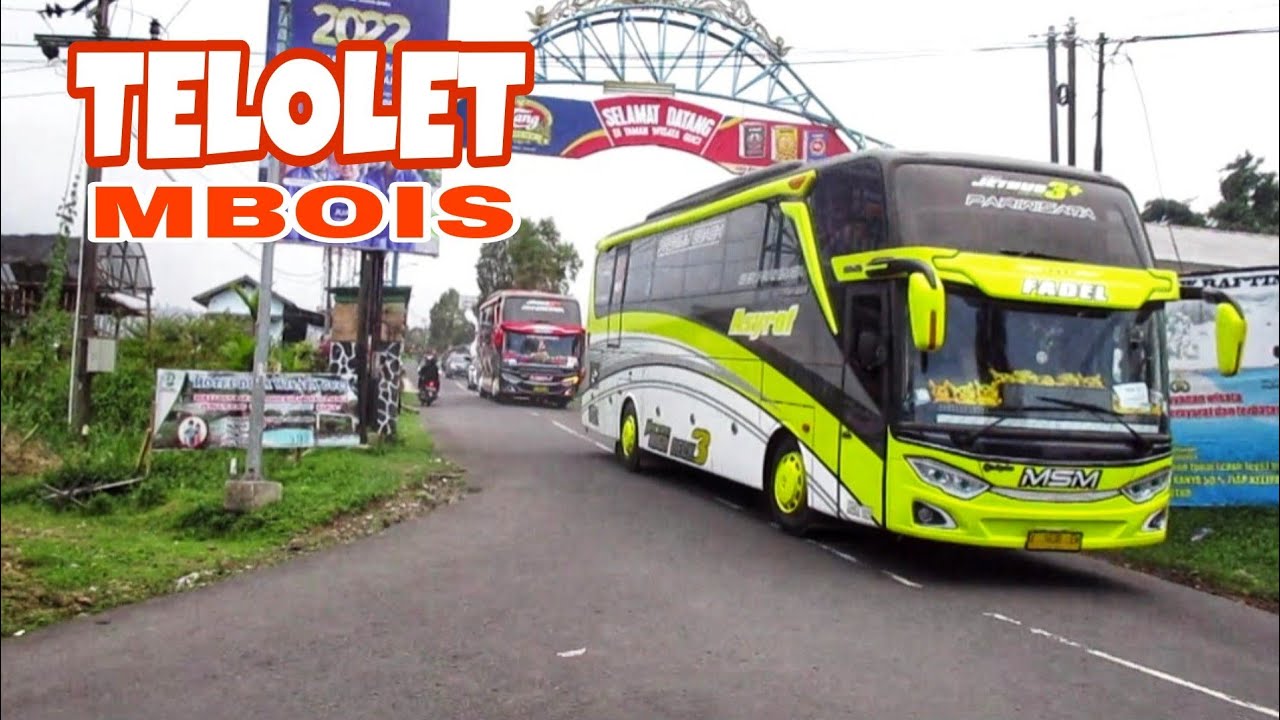 BUS WISATA DI JALUR GUCI || PO. MSM ASROF || KING ICHSAN TRANS || B16 ...