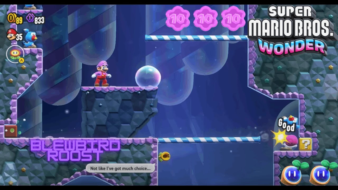[Super Mario Bros. Wonder] Blewbird Roost All Collectables 100% - YouTube