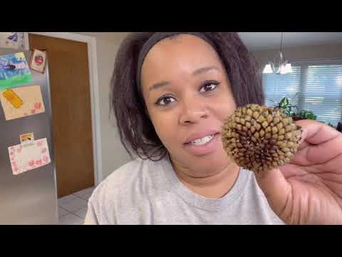 Trying Grilled Sunflower Head - YouTube
