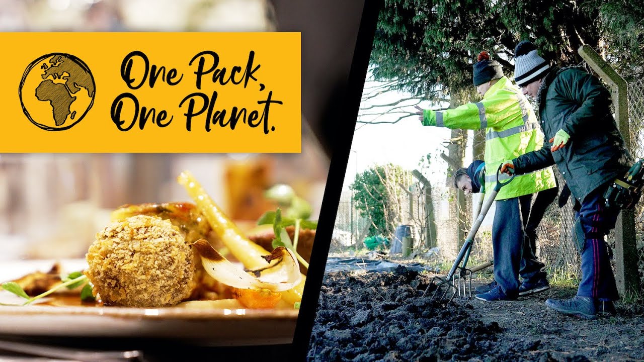 Wolves Foundation's Head 4 Health allotment feeds Molineux! - YouTube