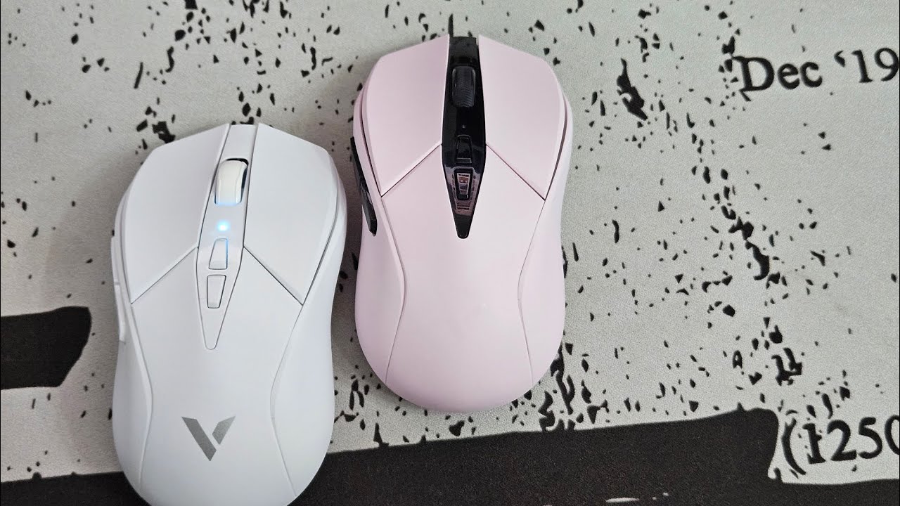 I use Rapoo V300Pro / V300SE as my only mouse for two weeks. Are they ...