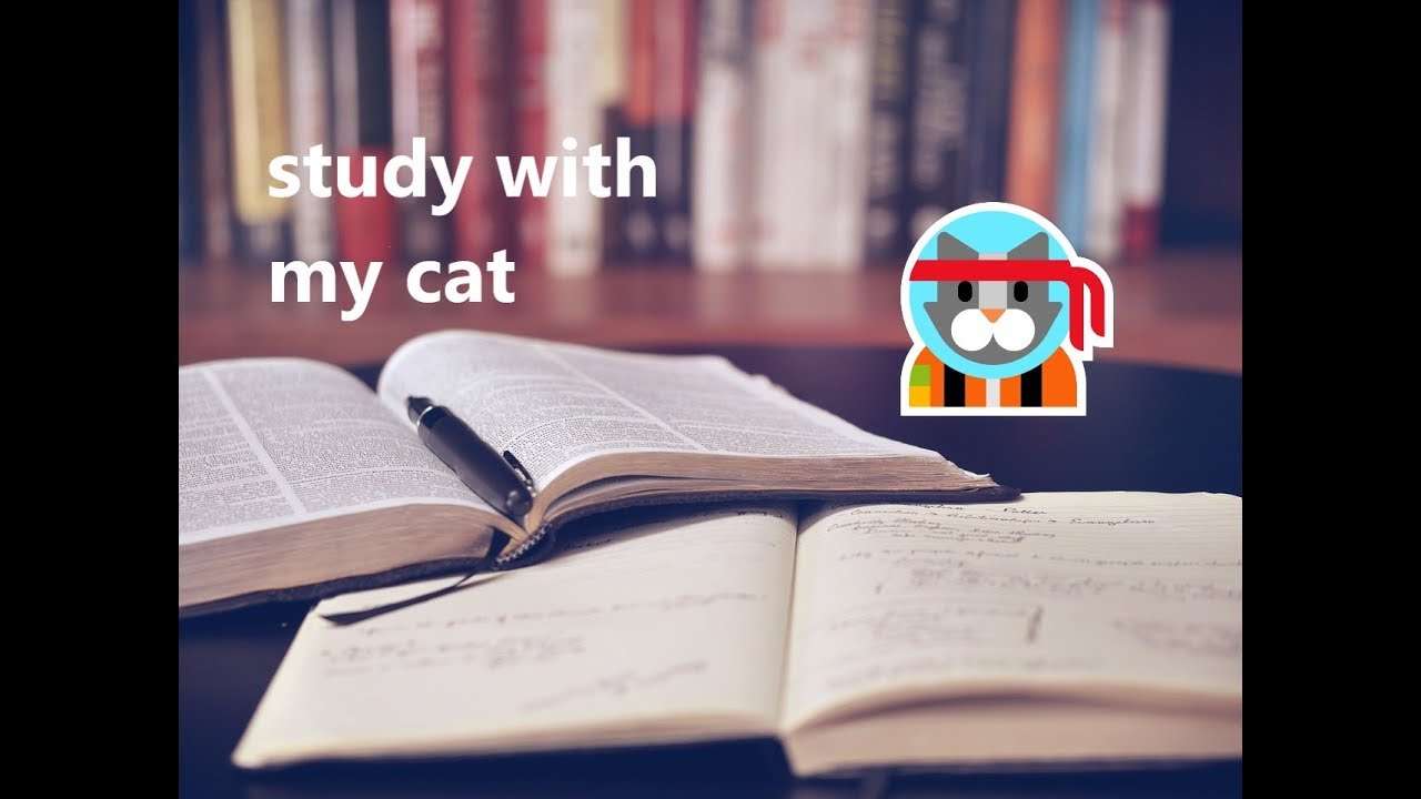 study with me and my cat/Polyglot/six languages - YouTube