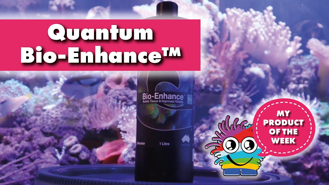 Product of the week. All you need to know about Quantum Bio-Enhance ...