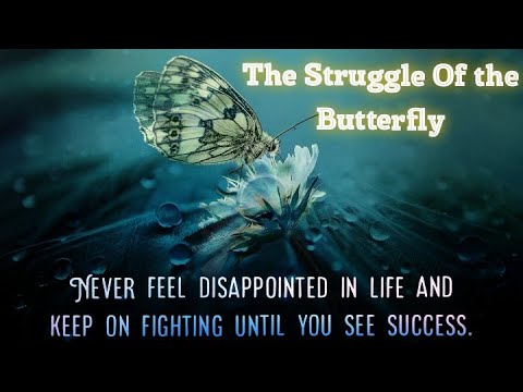 THE STRUGGLE OF THE BUTTERFLY 😱 🦋🙇 | ENGLISH | SNAPSHOT STORIES ...