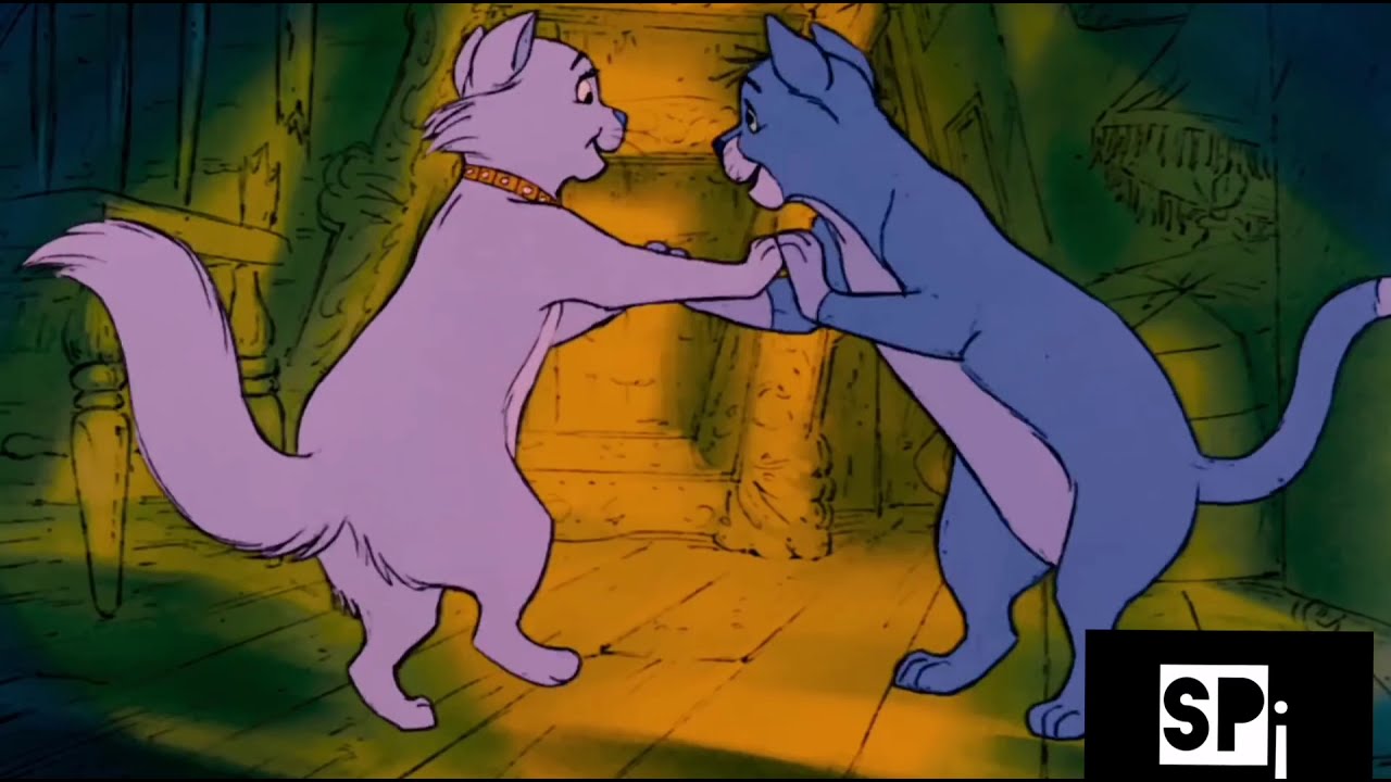 Los Guaracheros - Compay gato - YouTube