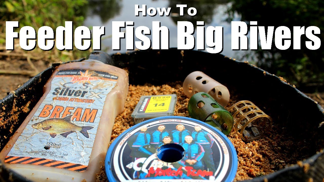 FEEDER FISHING ON RIVERS - HOW TO - YouTube