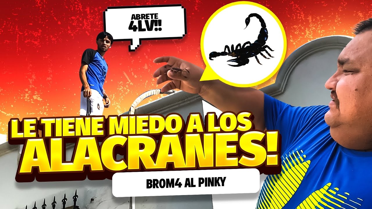 MI AMIGO LE TIENE FOBIA A LOS ALACRANES 🦂 // se hizo en los PANTALONES ...