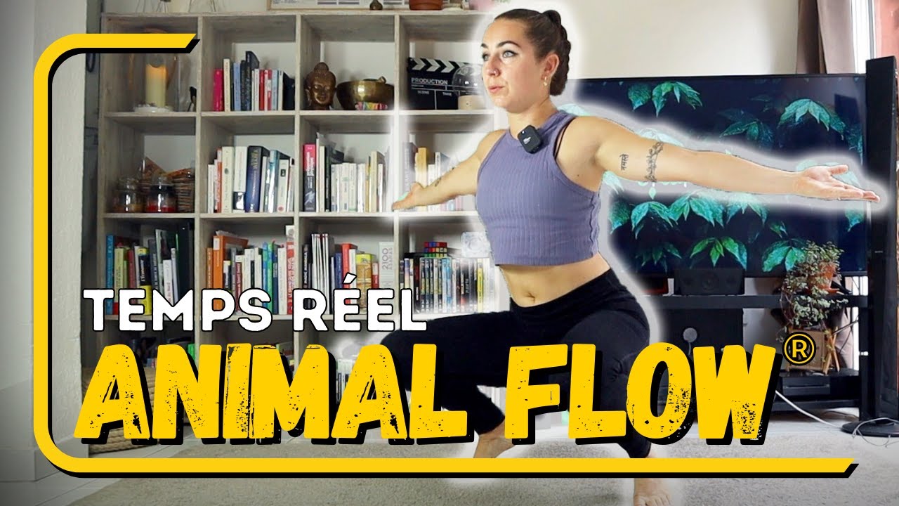 ANIMAL FLOW® WORKOUT pour les DÉBUTANTS / 30 min. en temps réel - YouTube