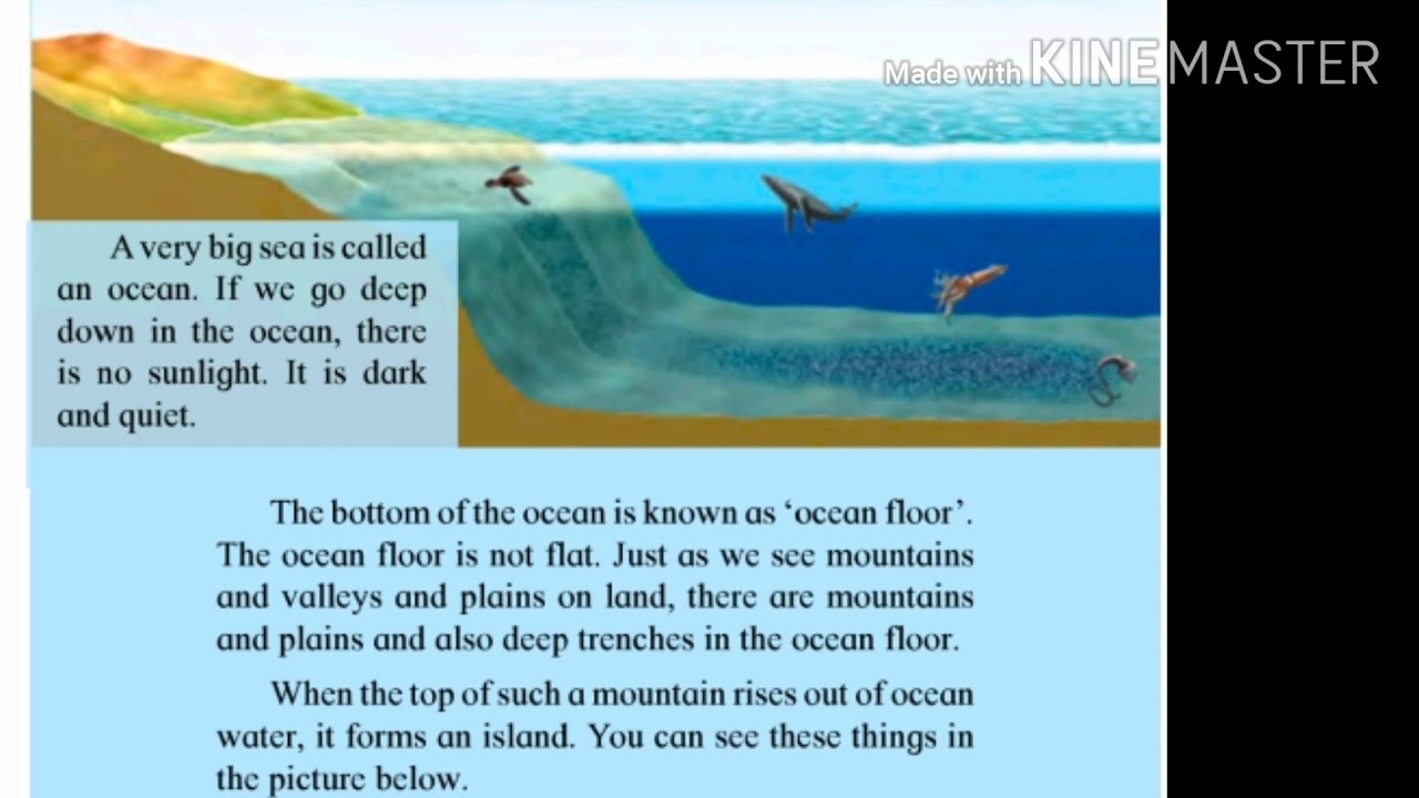 Why Is The Ocean Floor Not Flat | Viewfloor.co