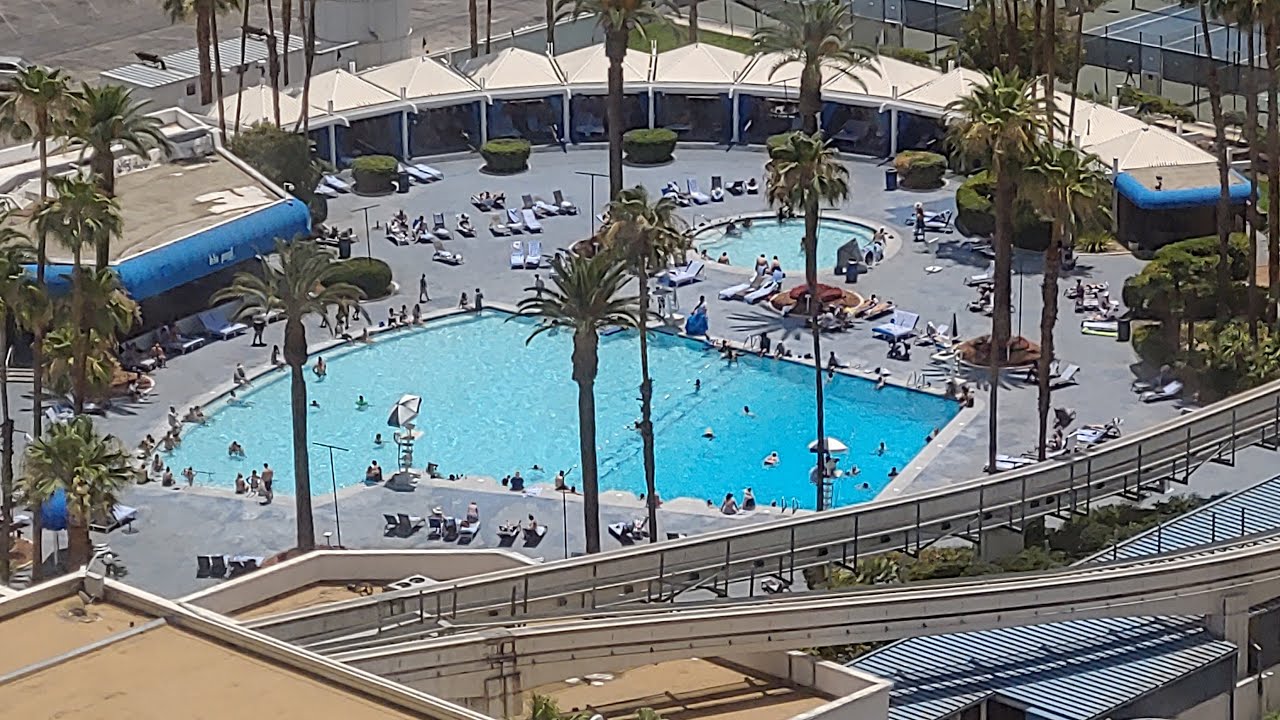 Poolside Live Las Vegas Dingo Style - YouTube