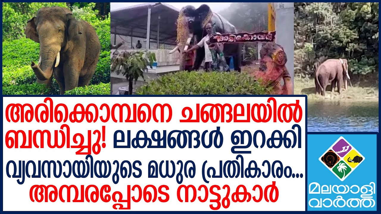 Kothayar/അരിക്കൊമ്പനെ കാണാൻ തിരക്ക്.... - YouTube